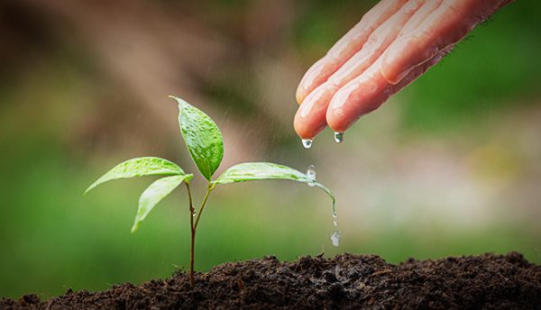 Green Growth Asia Foundation: Nurturing a Climate-Resilient Future ...